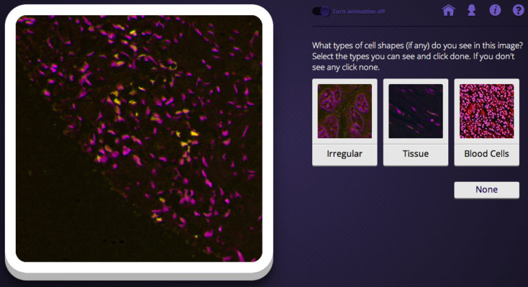 Cell Slider Screen Shot - SciStarter Blog